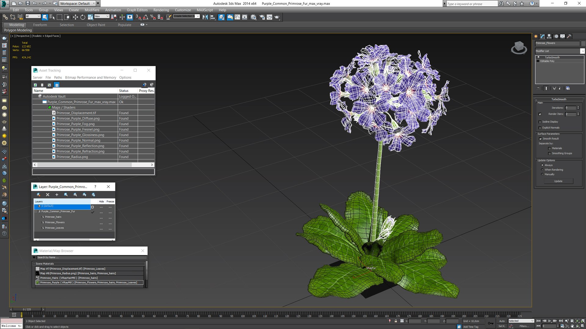 Purple Common Primrose Fur 3D - TurboSquid 2065241