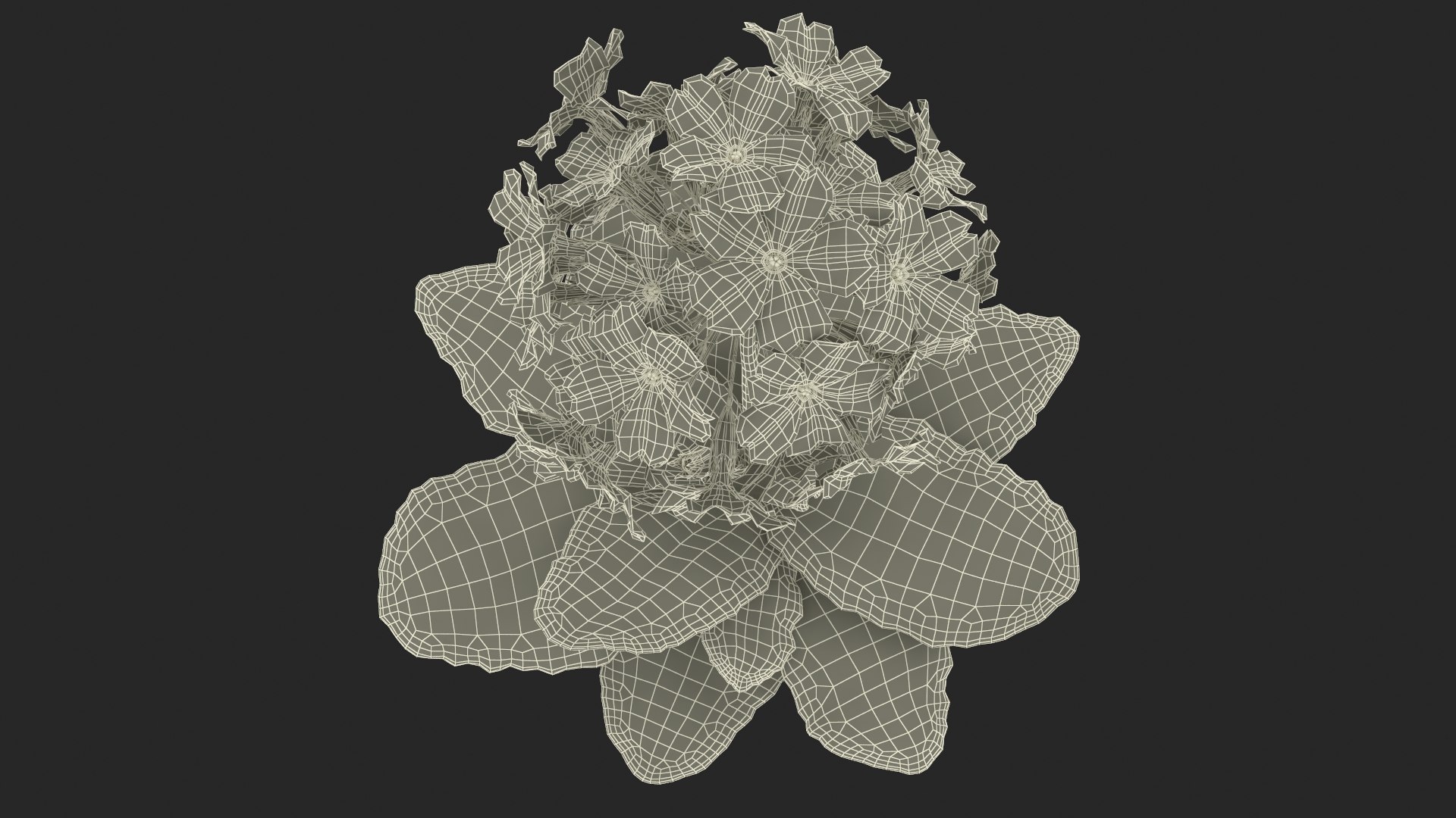 Purple Common Primrose Fur 3D - TurboSquid 2065241