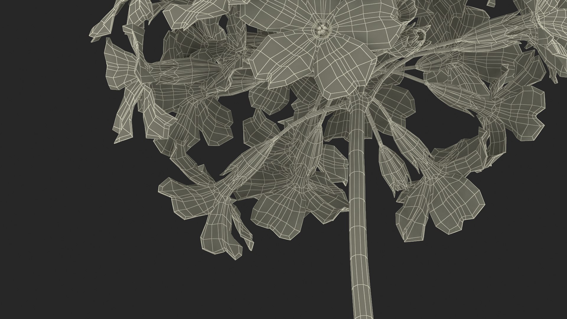 Purple Common Primrose Fur 3D - TurboSquid 2065241