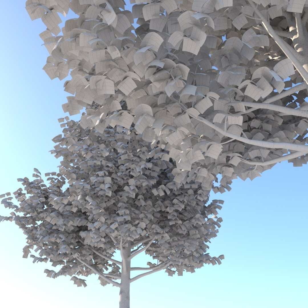 Architectural Trees 3d Model