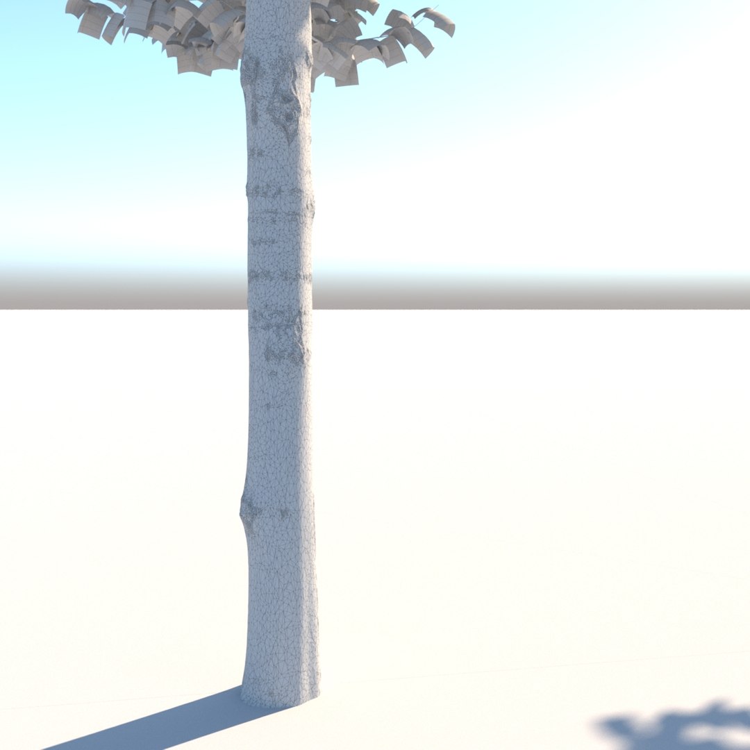 Architectural Trees 3d Model