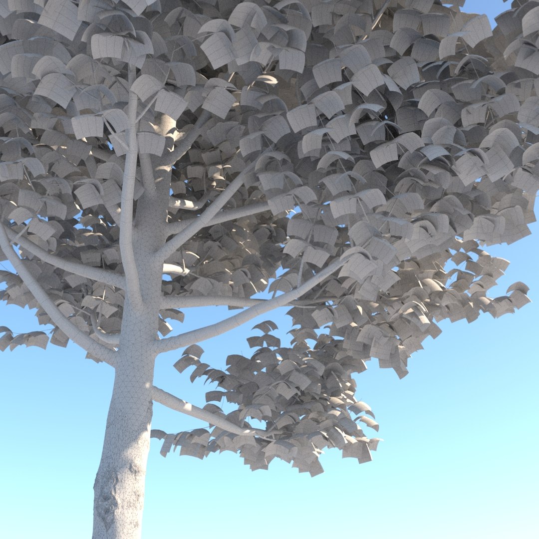 Architectural Trees 3d Model