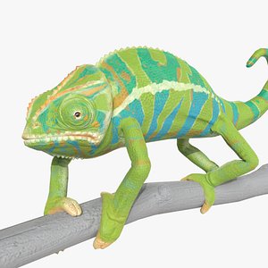 Reptile 3D Models for Download | TurboSquid