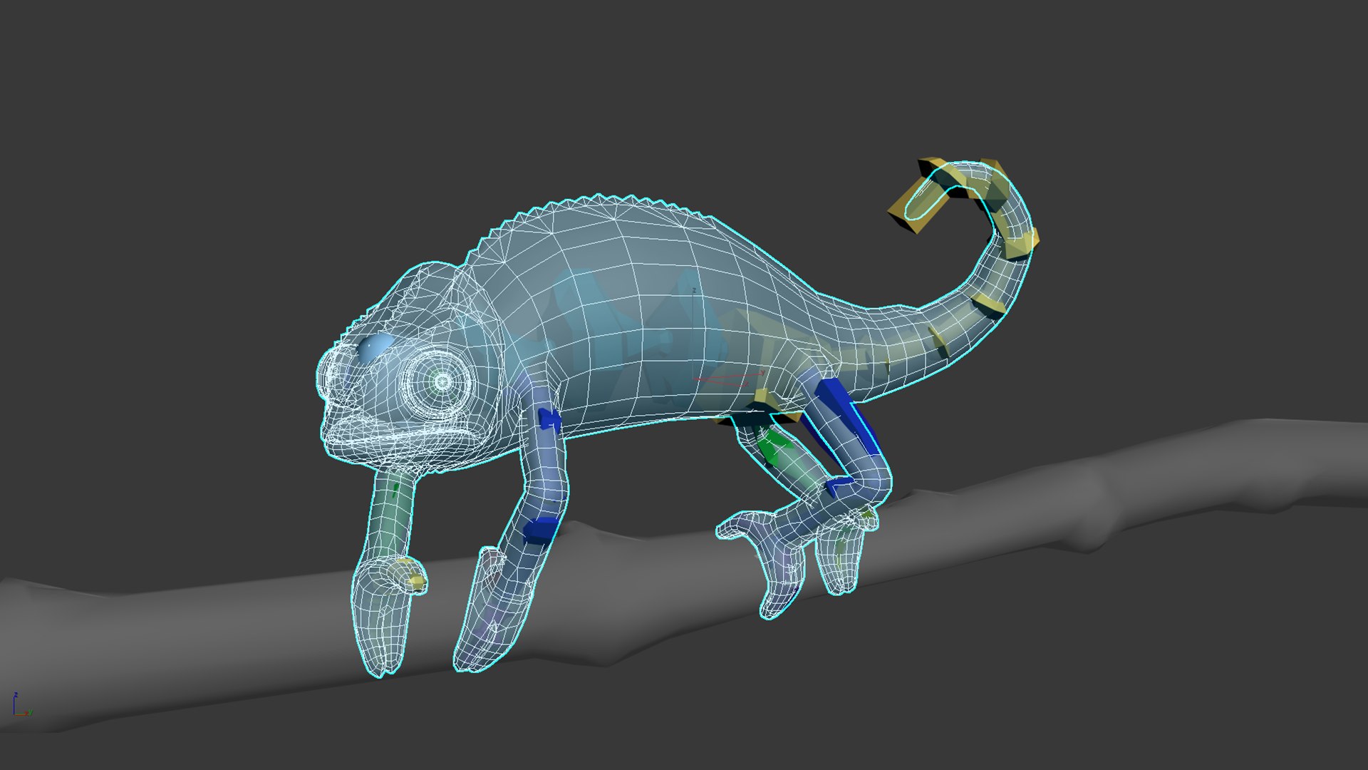 Chameleon 3D Model - TurboSquid 2170213