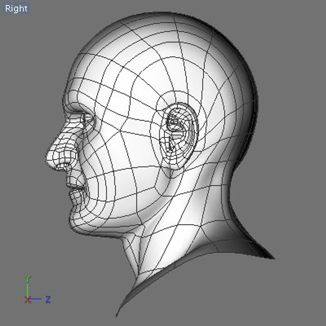 C4d Human Male Head Joe