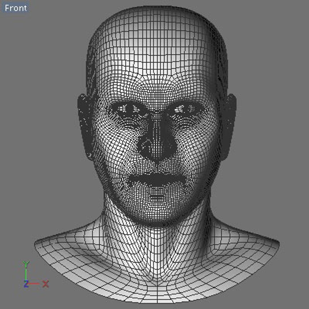 C4d Human Male Head Joe