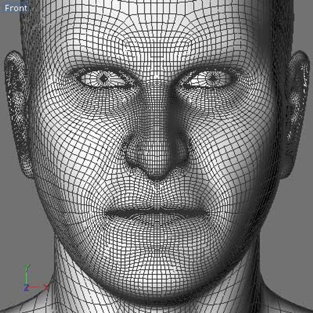 C4d Human Male Head Joe