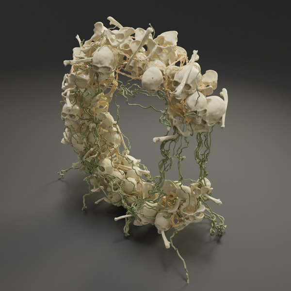 Letter c bones skeleton 3D model - TurboSquid 1546042