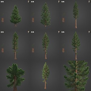 3ds Sequoia Tree