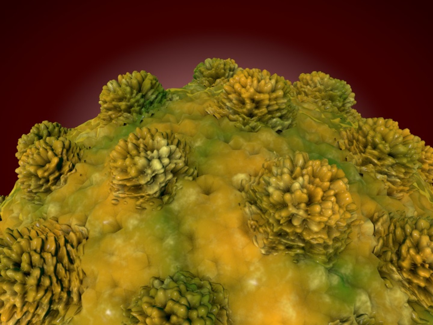 Hepatitis B Virus 3ds