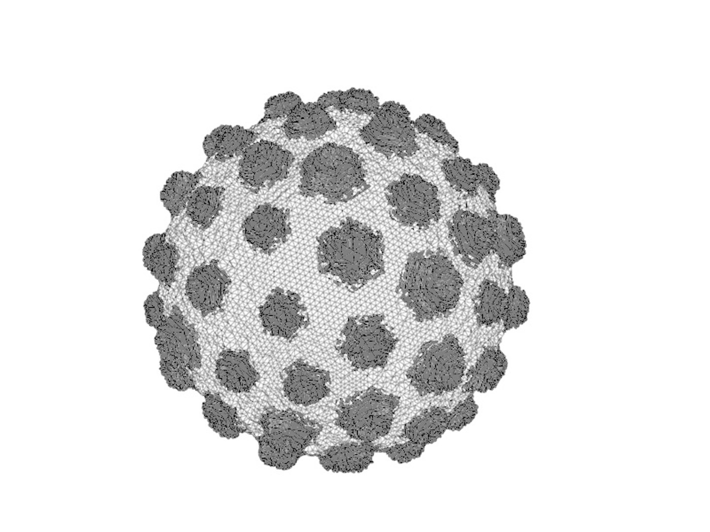 Hepatitis B Virus 3ds
