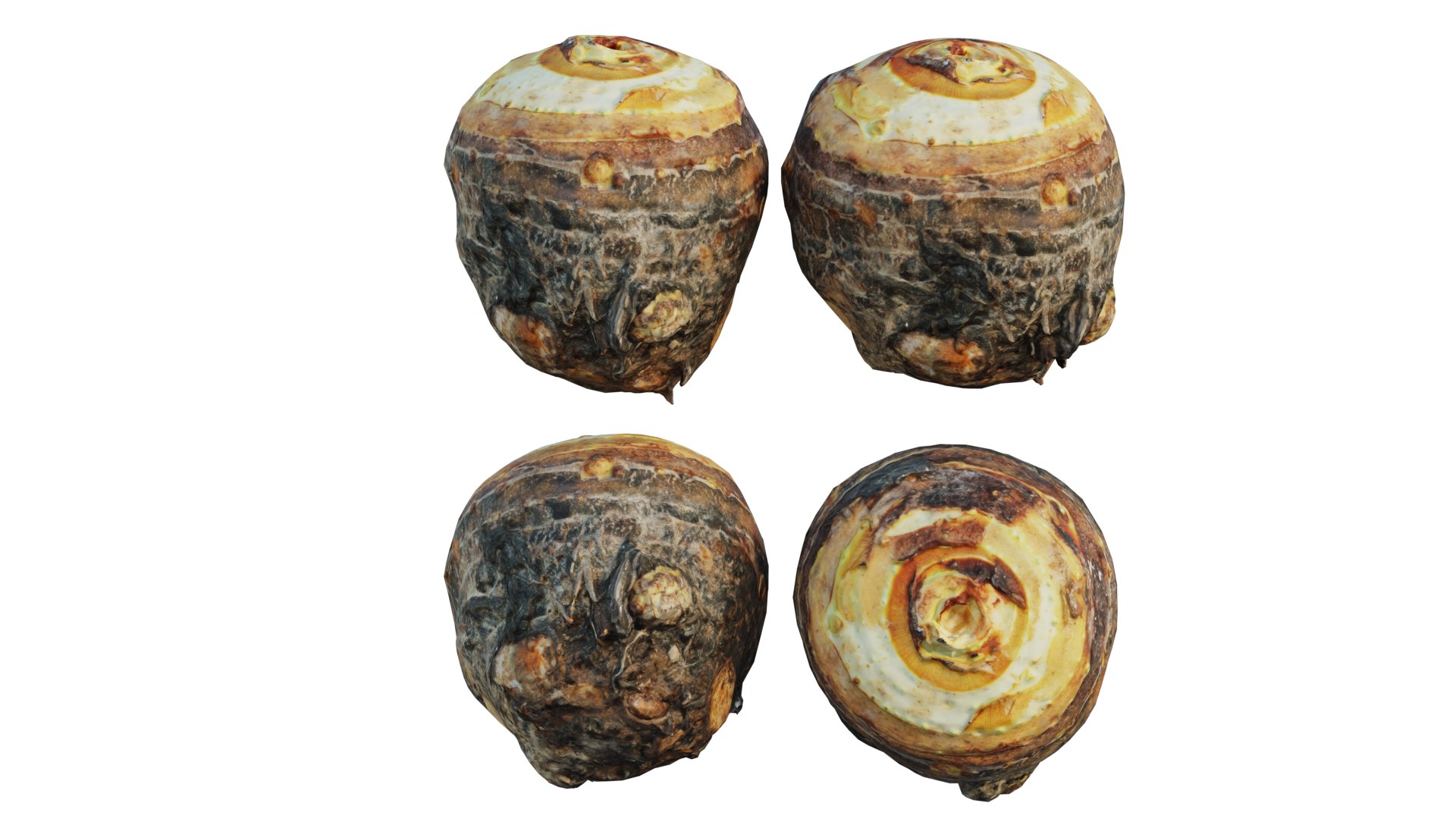 Taro 05 3D - TurboSquid 1941987