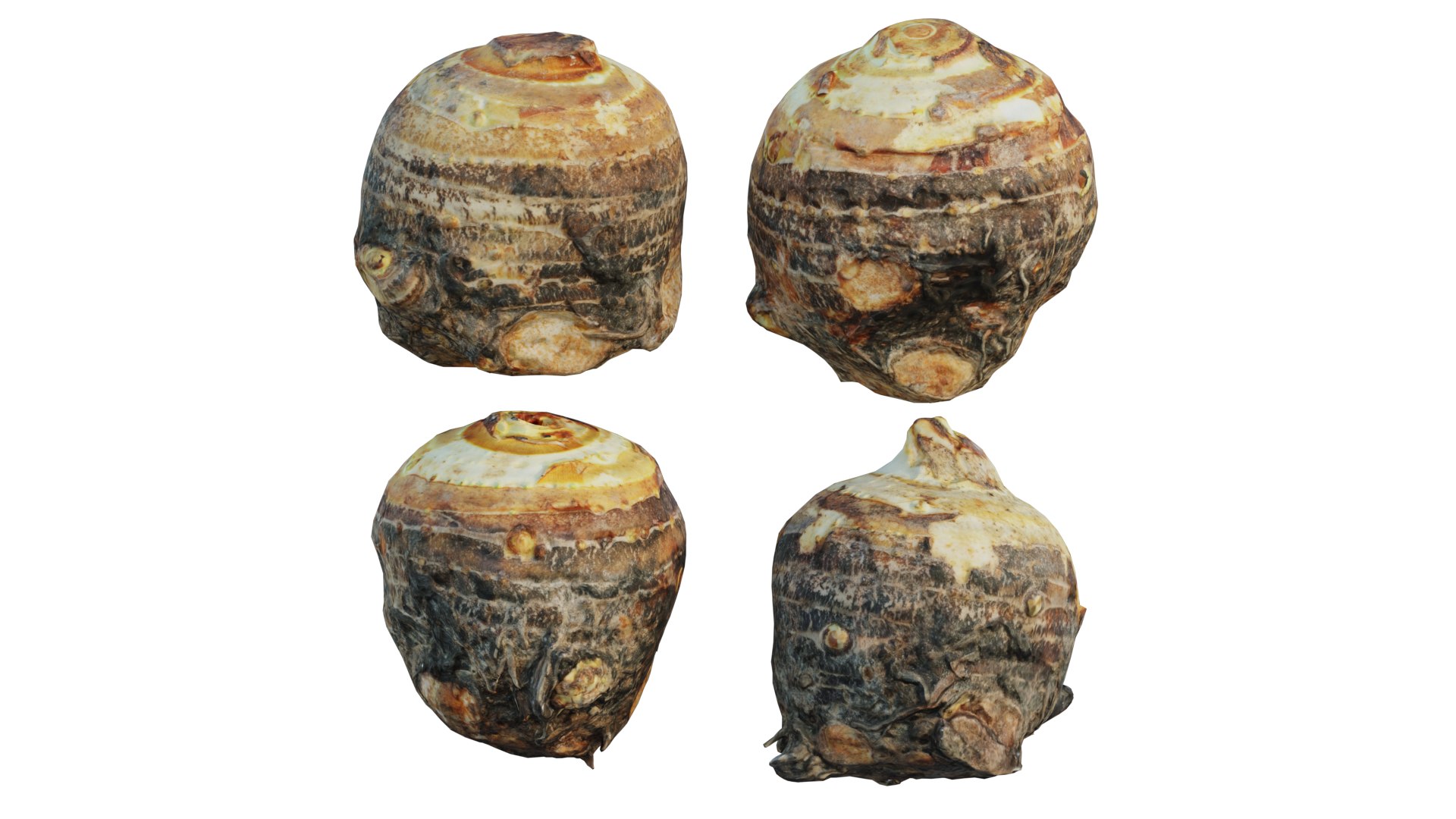 Taro 05 3D - TurboSquid 1941987