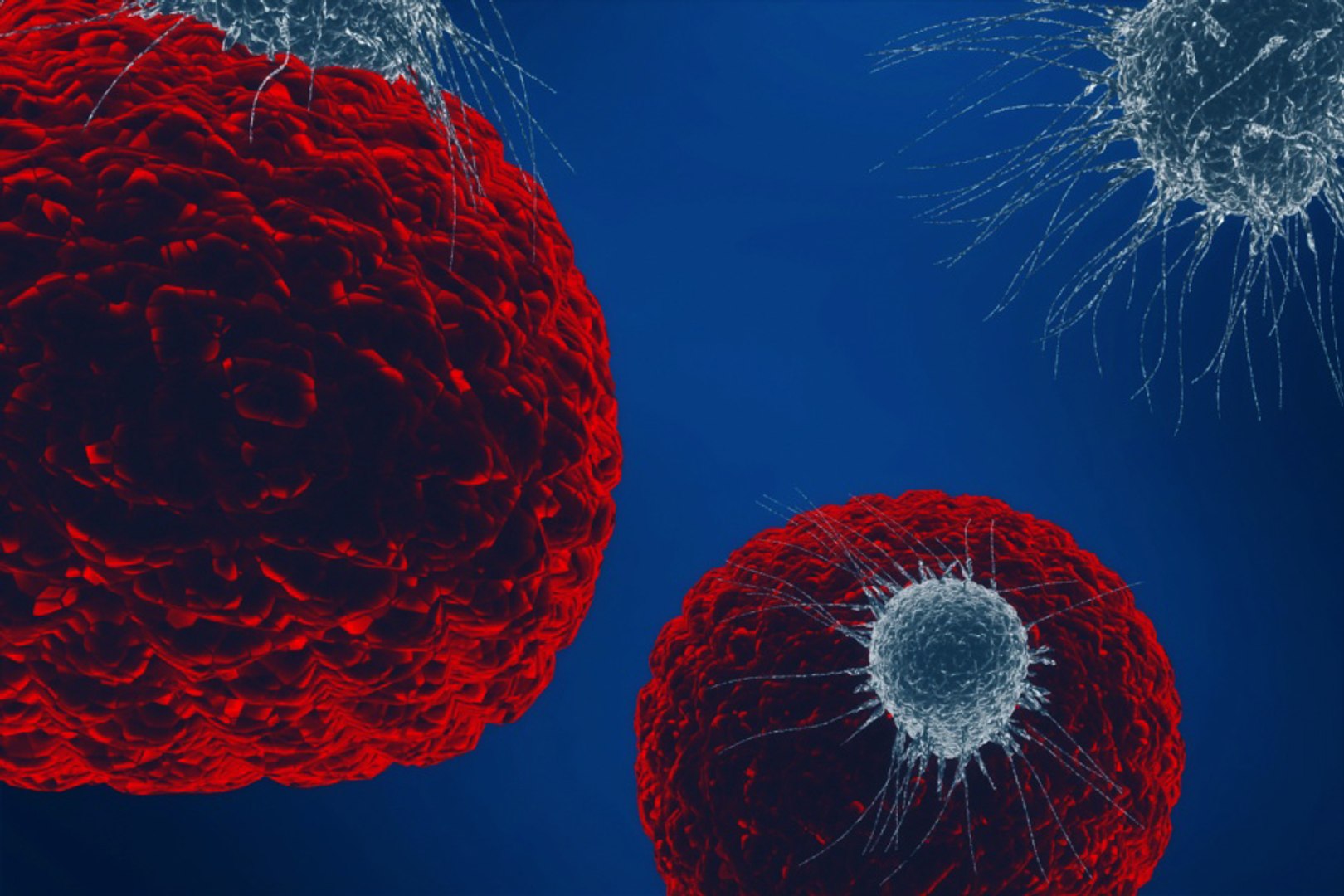 3D Cancer Cell Proliferation Invasion - TurboSquid 1630882