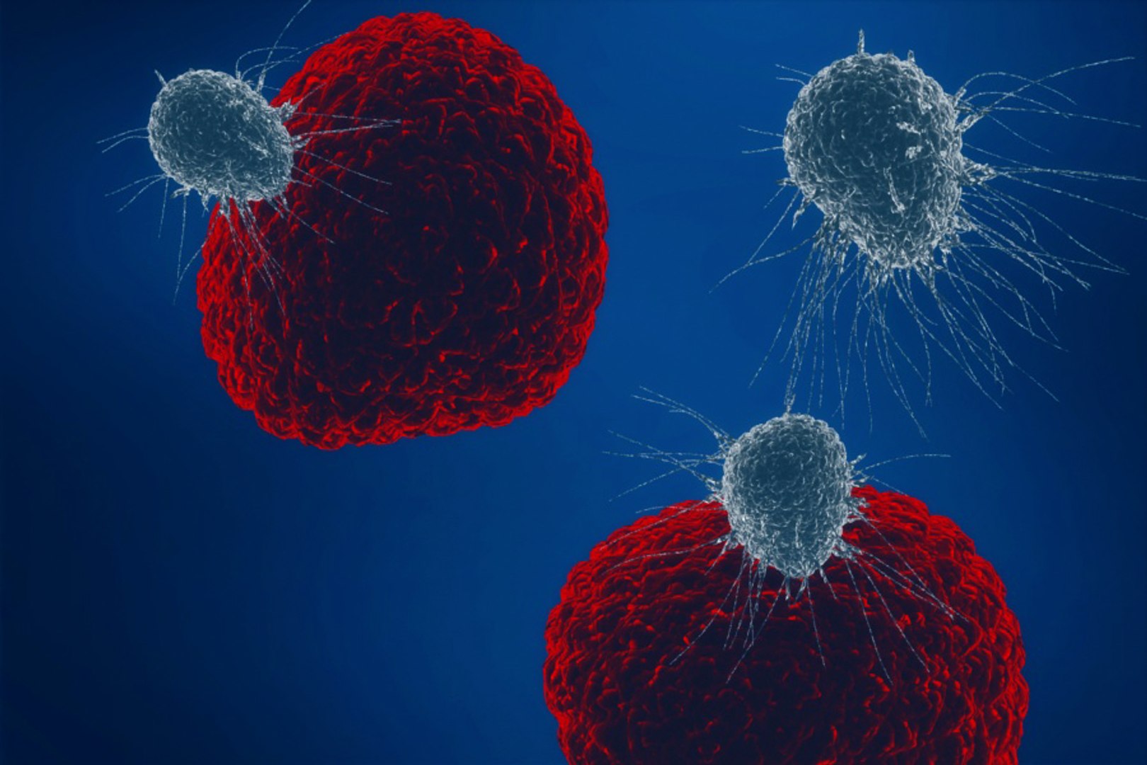 3D Cancer Cell Proliferation Invasion - TurboSquid 1630882