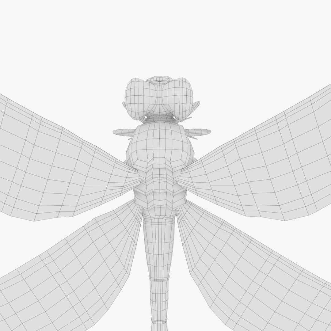 3D dragonfly - TurboSquid 1248677