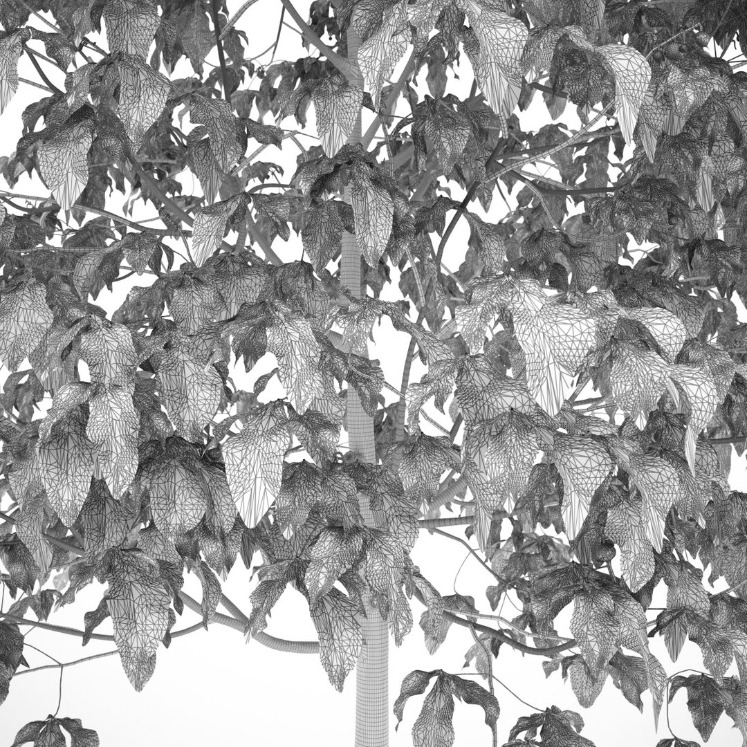 Red Tree 3D Model - TurboSquid 1201011