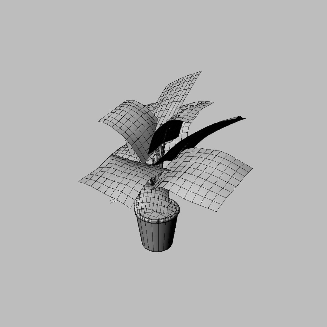 Plant 3D model - TurboSquid 1247451