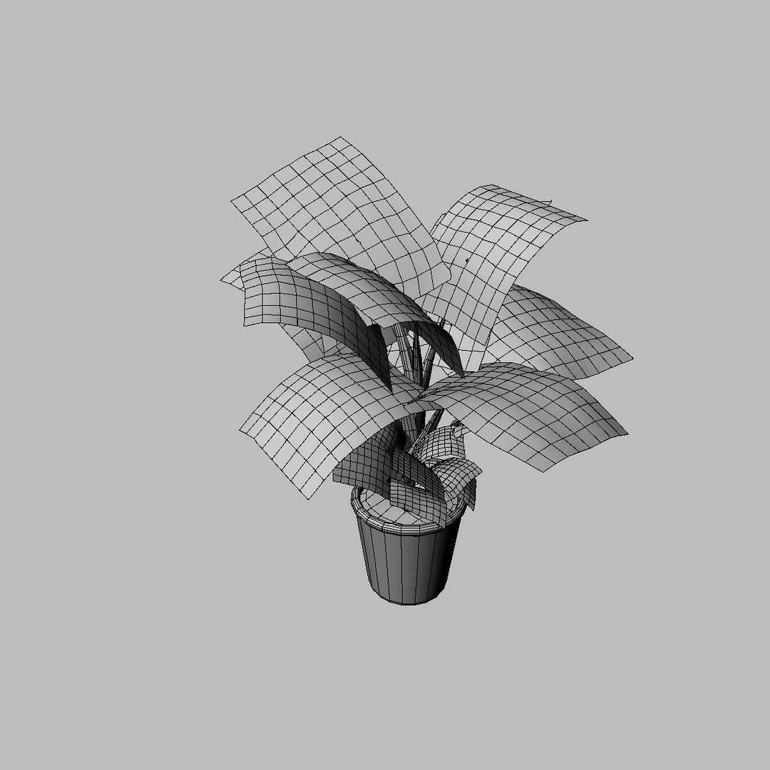 Plant 3D model - TurboSquid 1247451