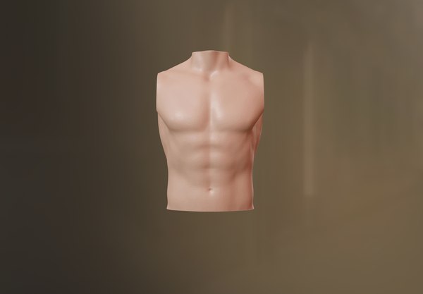Female Torso 3D model 3D - TurboSquid 1995535