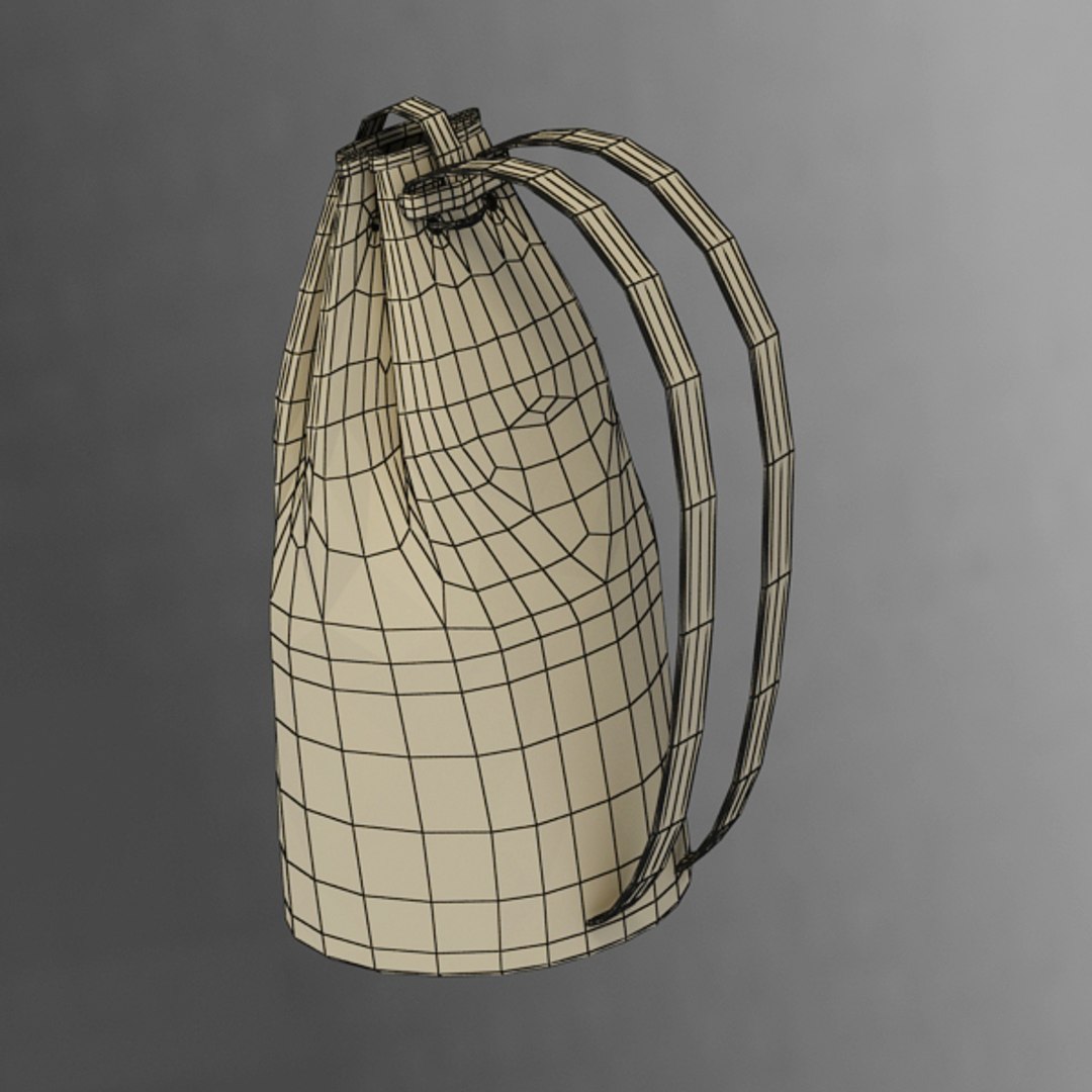 Pack Bag 3d Model