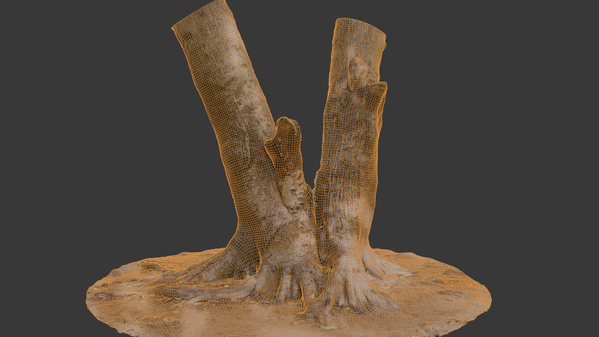 V-Shaped Tree Trunk 3D Scan 3D - TurboSquid 2395511