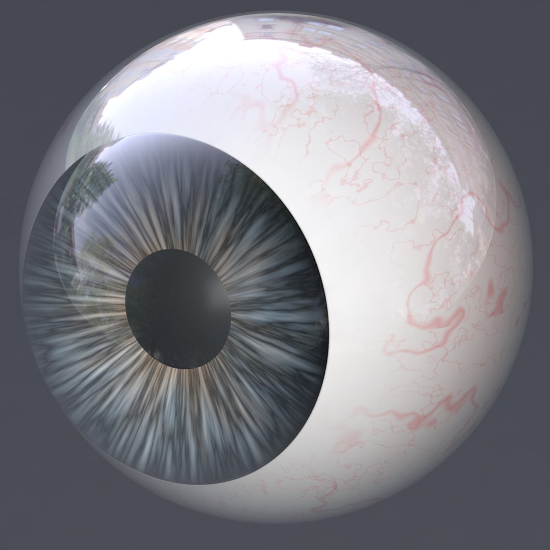 3D Eye Realistic Human Characters Model - TurboSquid 1440236