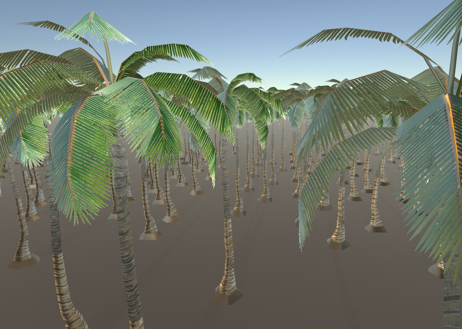 3d model palm tree