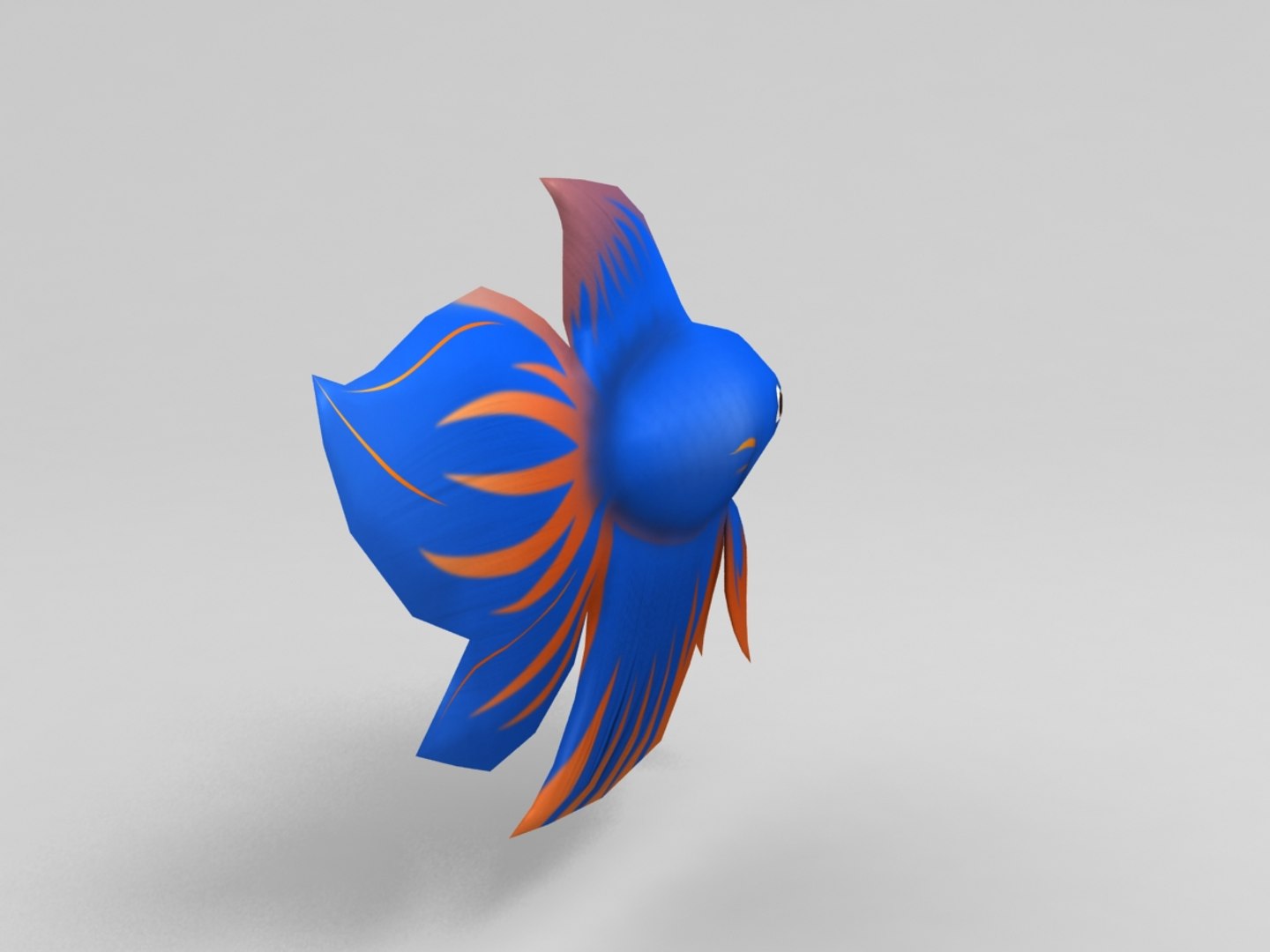 Betta Fish 3D Model - TurboSquid 1213290
