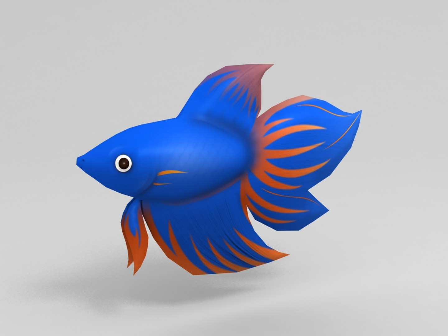 Betta Fish 3D Model - TurboSquid 1213290