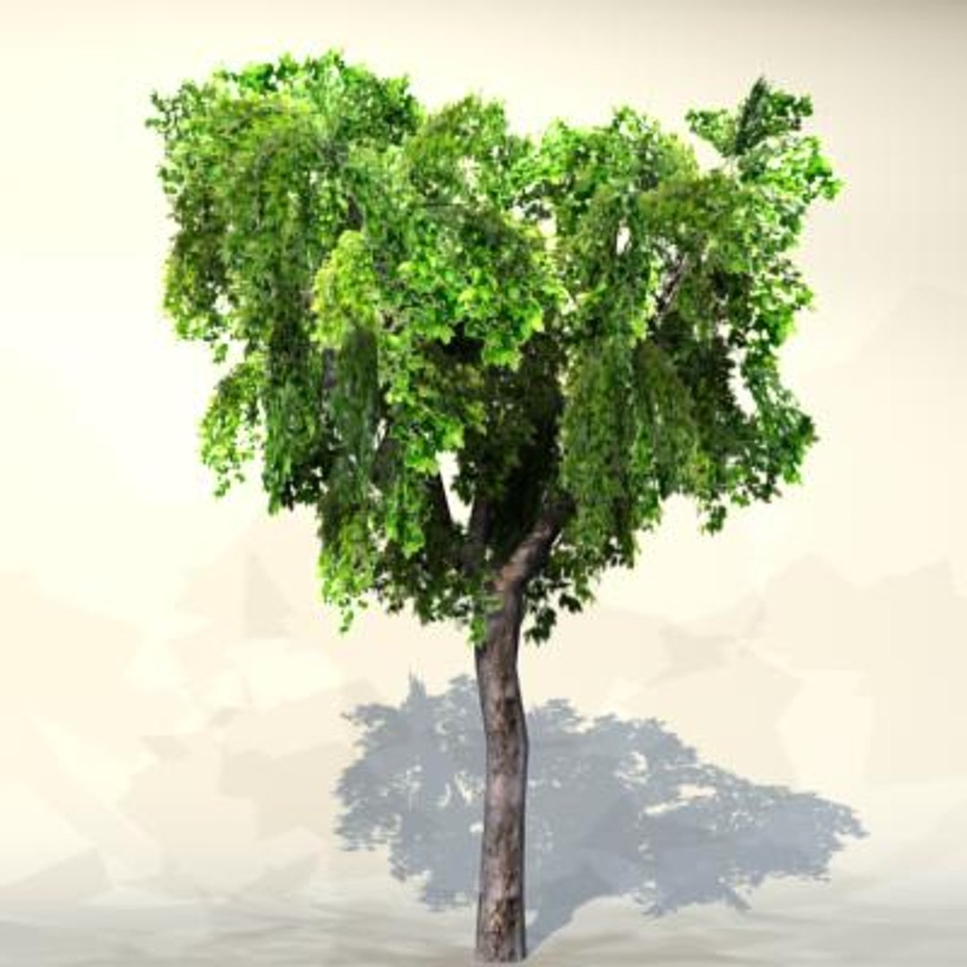 3d Pc Tree