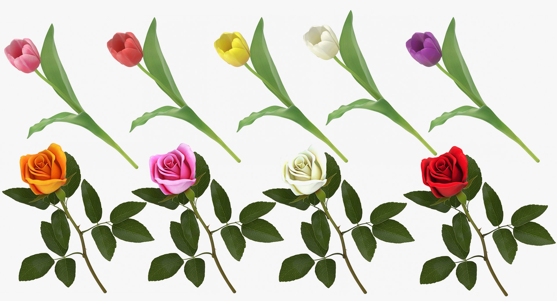 Focal flowers - 73 model - TurboSquid 1448484