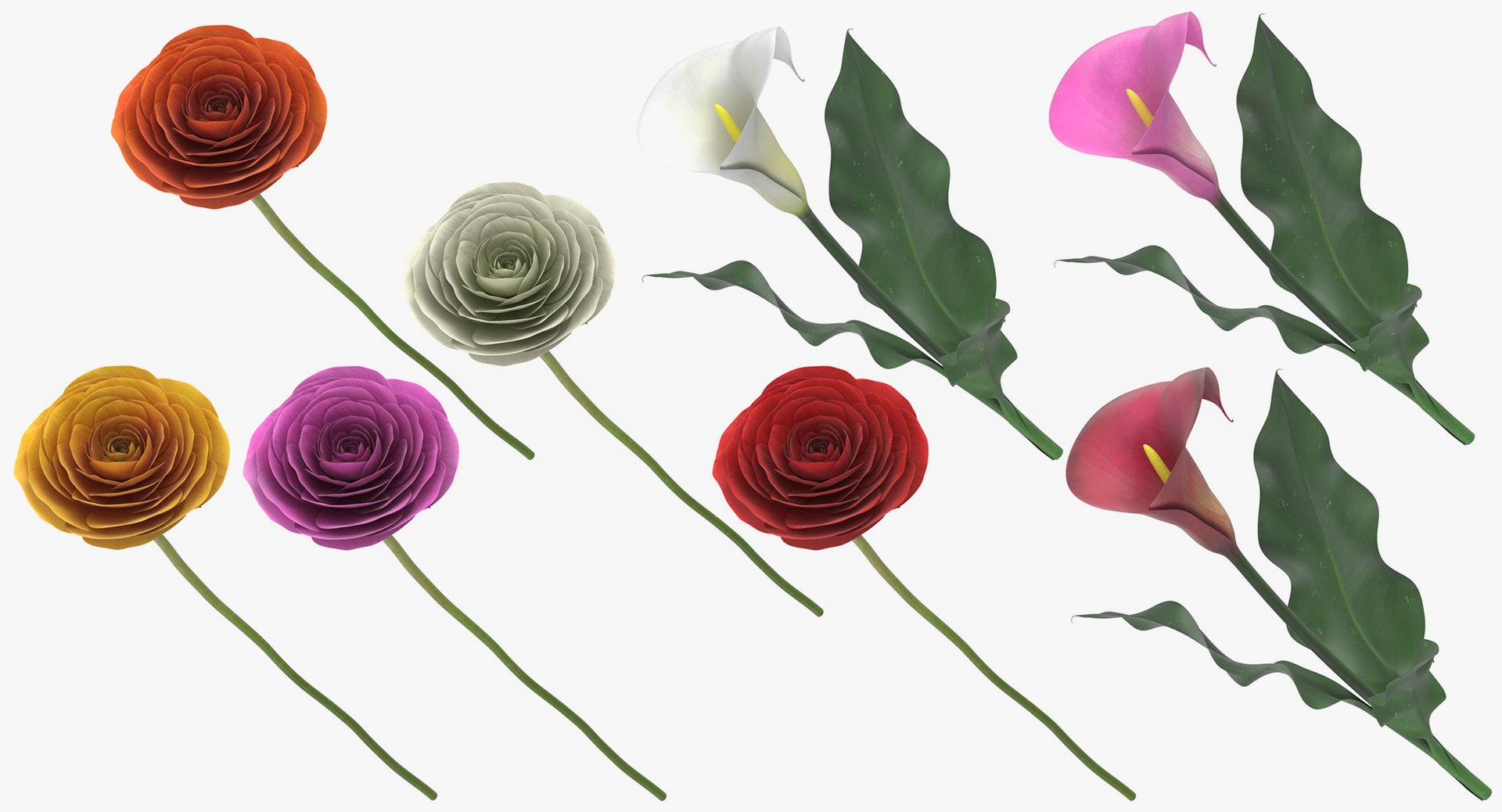 Focal flowers - 73 model - TurboSquid 1448484