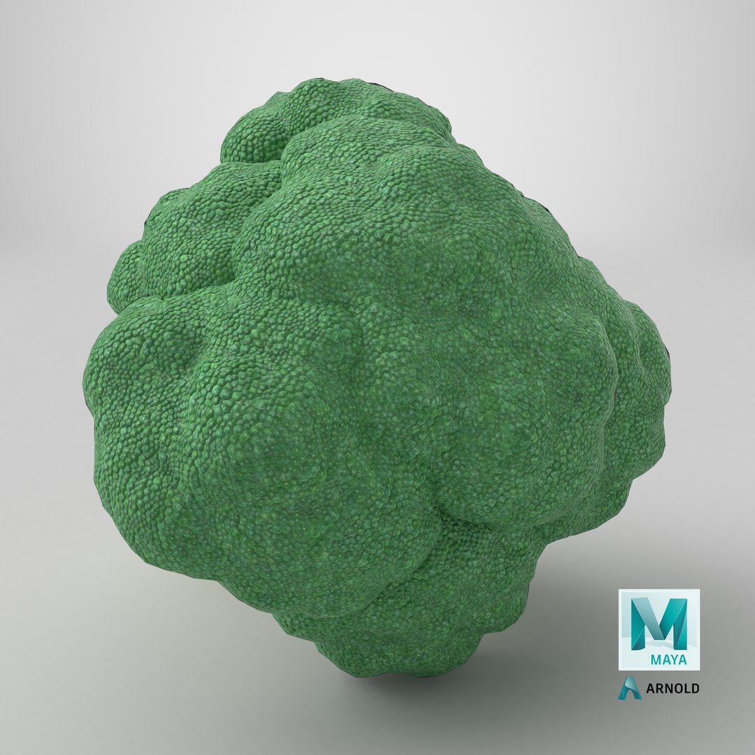 Whole Raw Broccoli Floret Green 3D Model - TurboSquid 2474821
