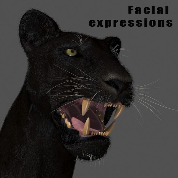 panther animation 3d max