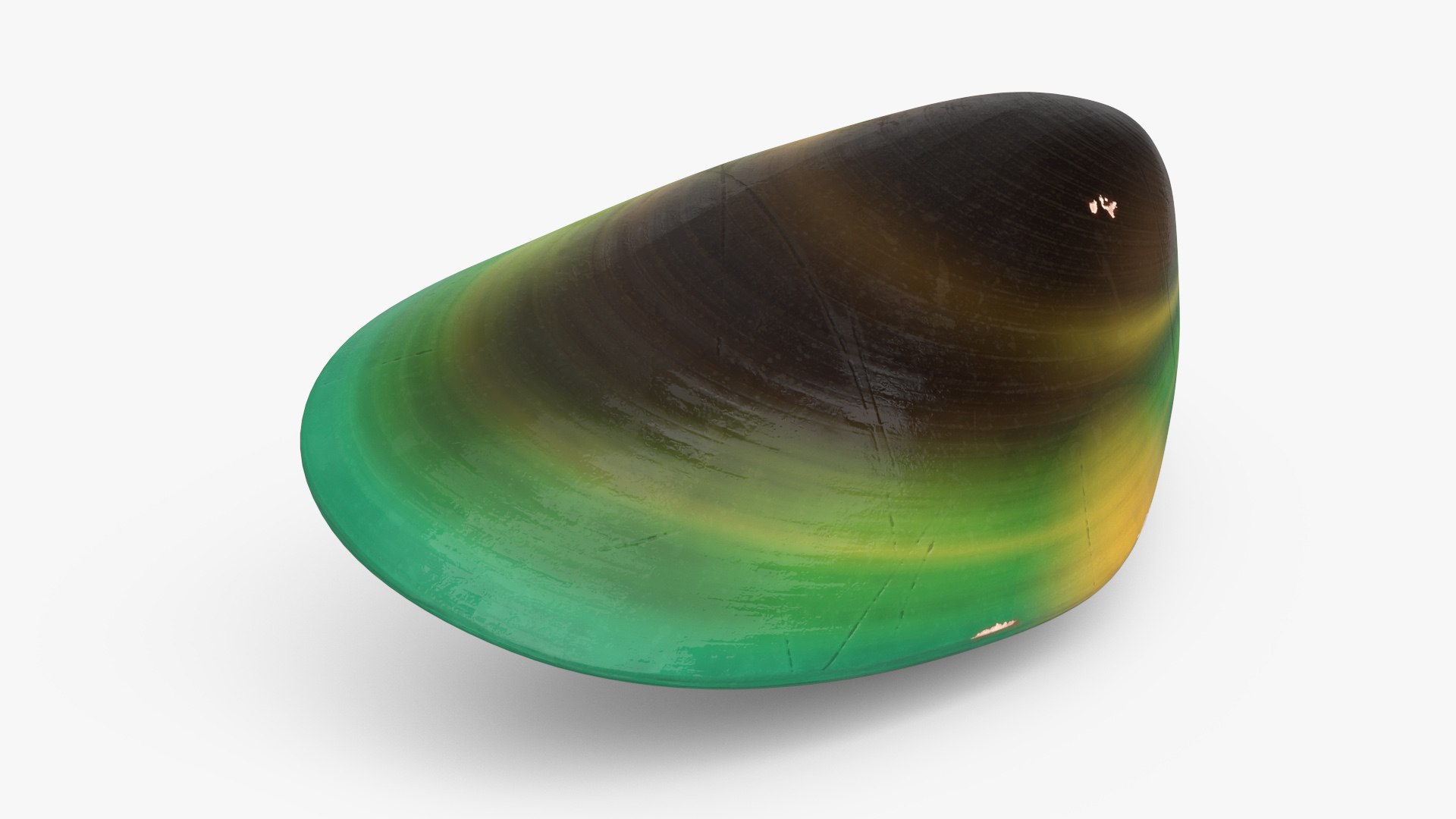 3D Closed Green Lipped Mussel Shell Model - TurboSquid 2228037