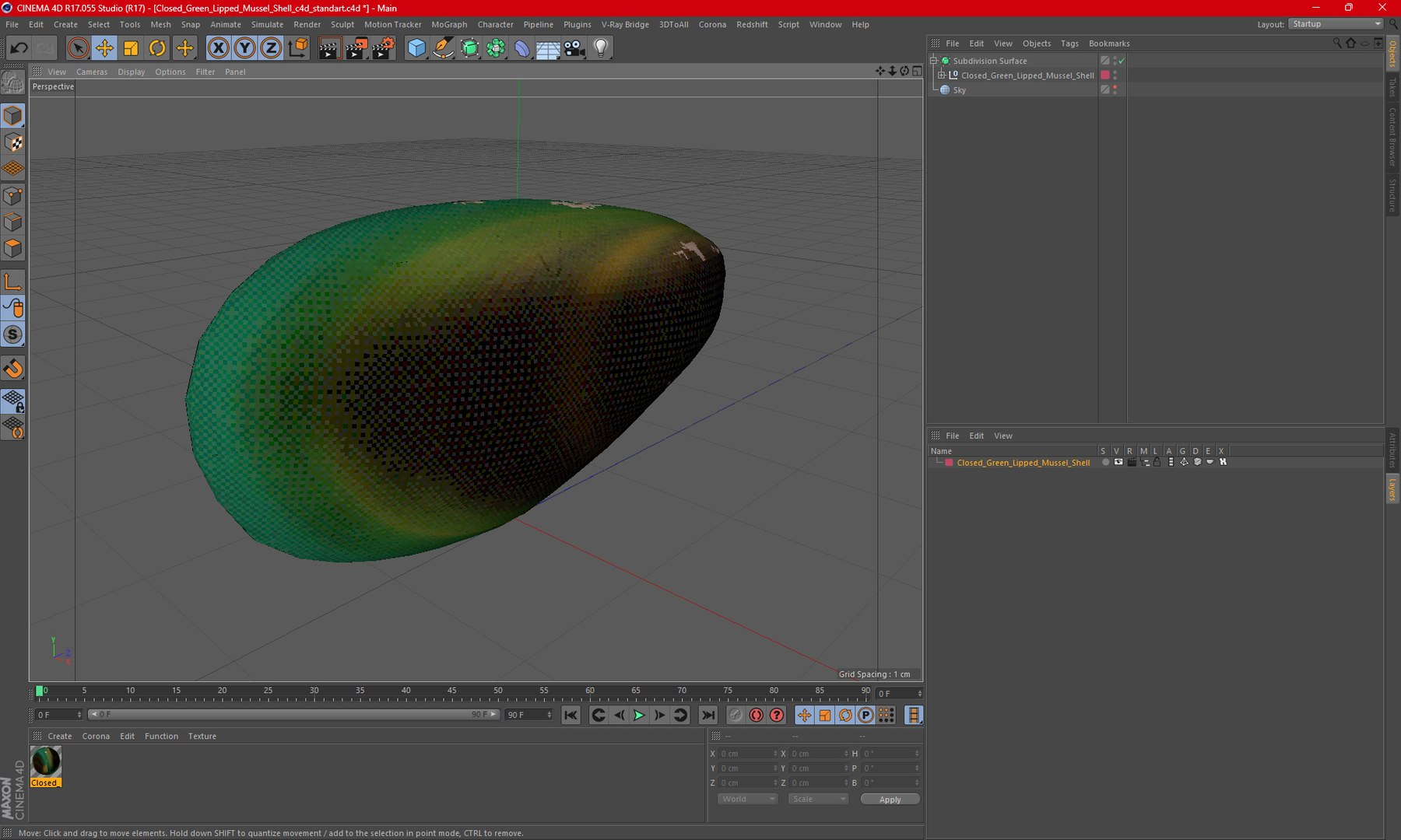 3D Closed Green Lipped Mussel Shell Model - TurboSquid 2228037