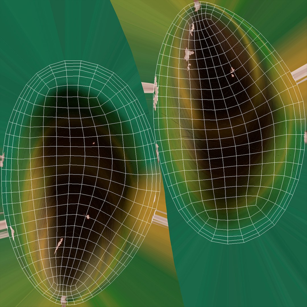 3D Closed Green Lipped Mussel Shell Model - TurboSquid 2228037