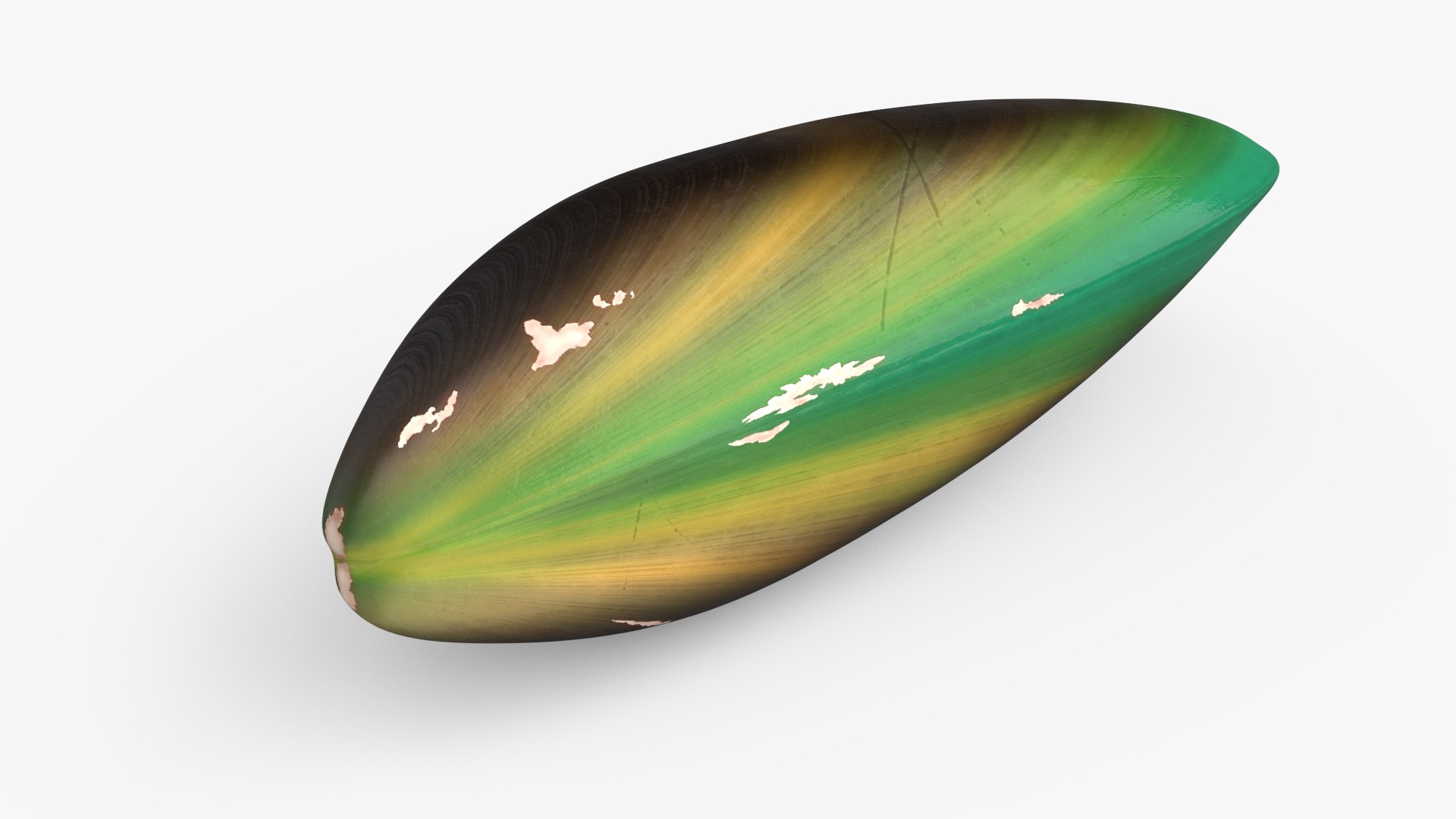 3D Closed Green Lipped Mussel Shell Model - TurboSquid 2228037