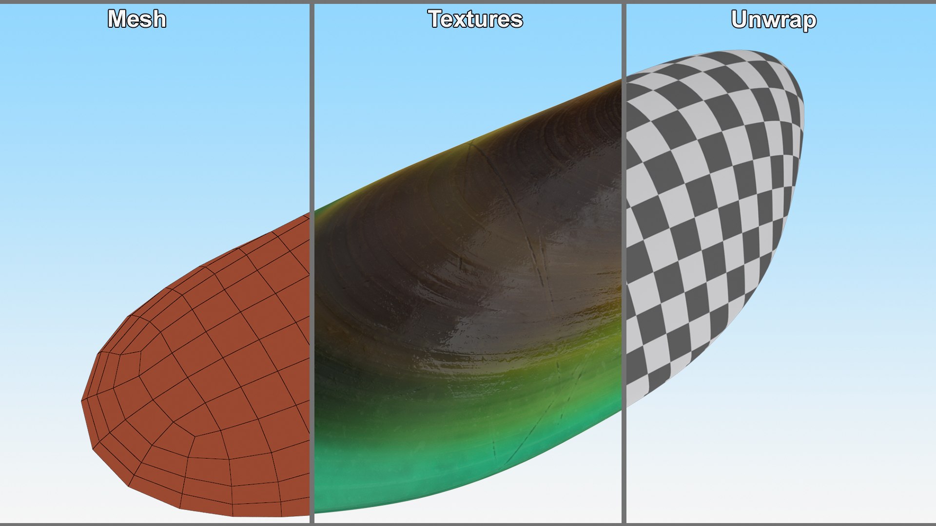 3D Closed Green Lipped Mussel Shell Model - TurboSquid 2228037