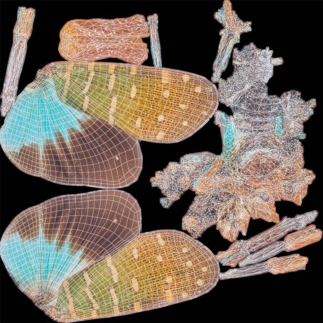 3D Model Pyrops Pyrorgyncha Borneo Remastered - TurboSquid 2359776