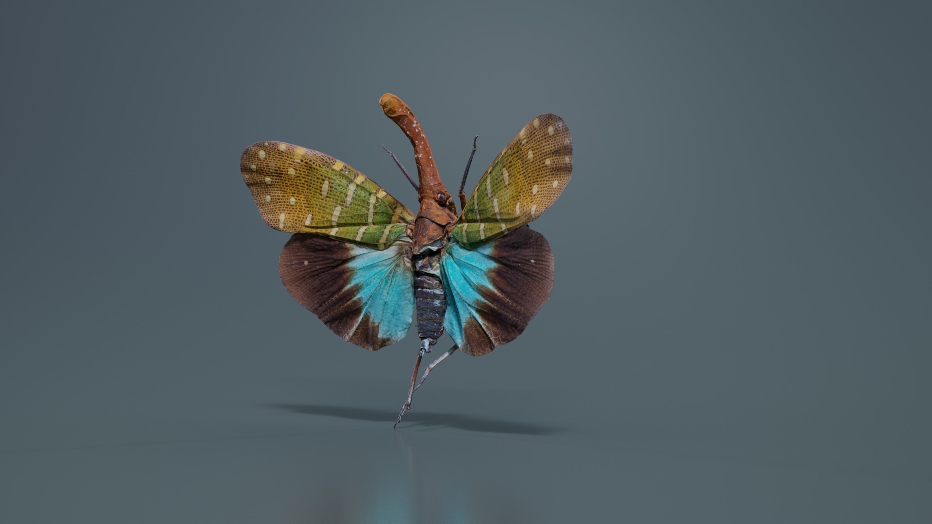 3D Model Pyrops Pyrorgyncha Borneo Remastered - TurboSquid 2359776