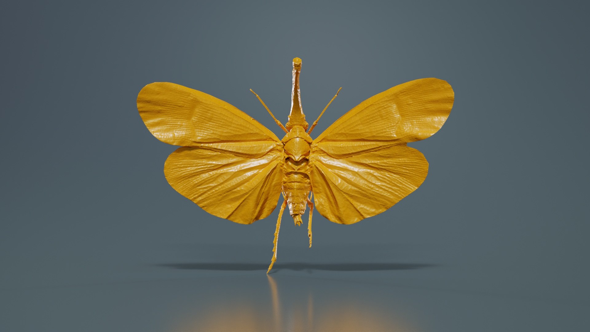 3D Model Pyrops Pyrorgyncha Borneo Remastered - TurboSquid 2359776