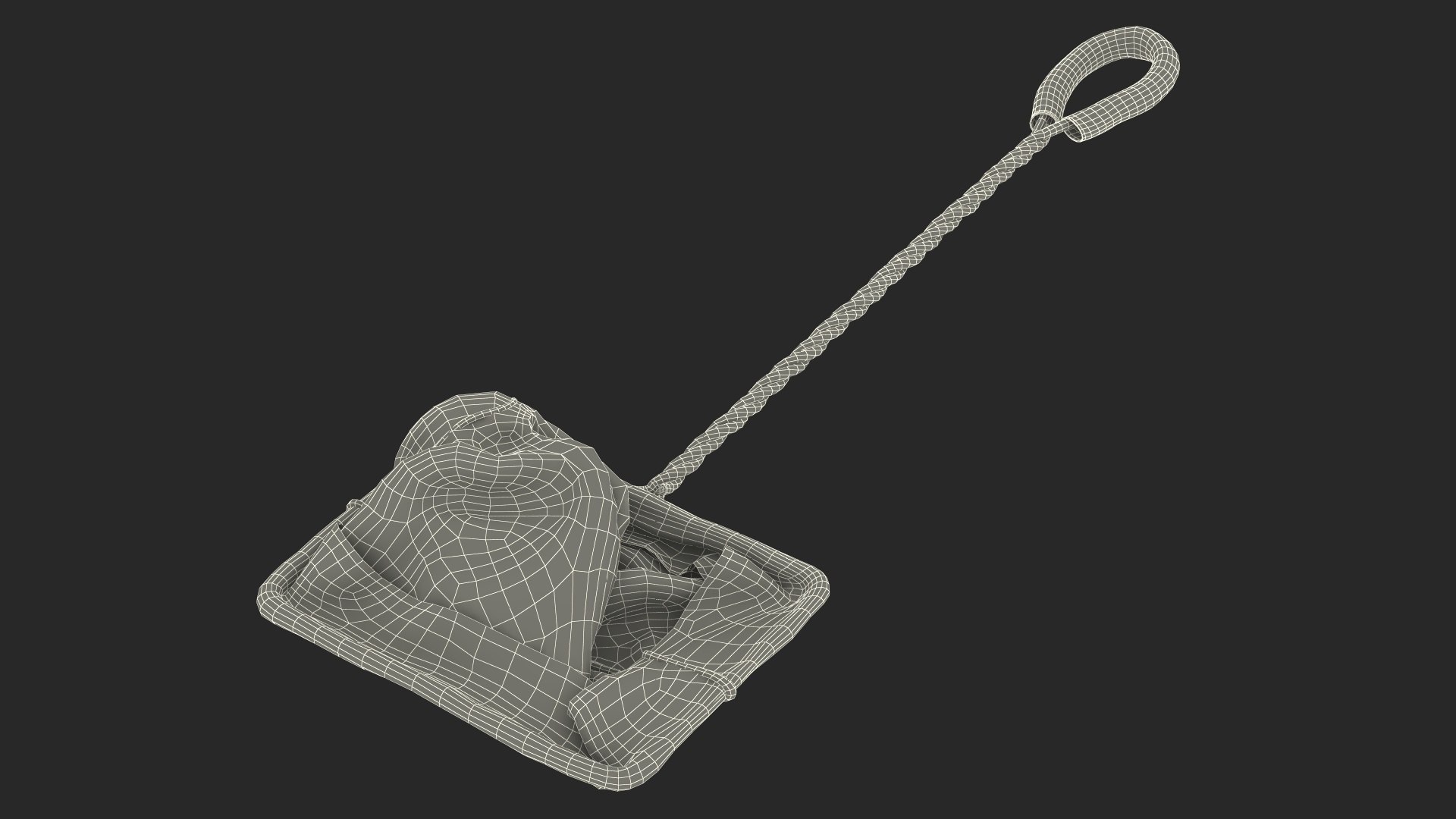 Aquarium Fish Net 3D - TurboSquid 2121423