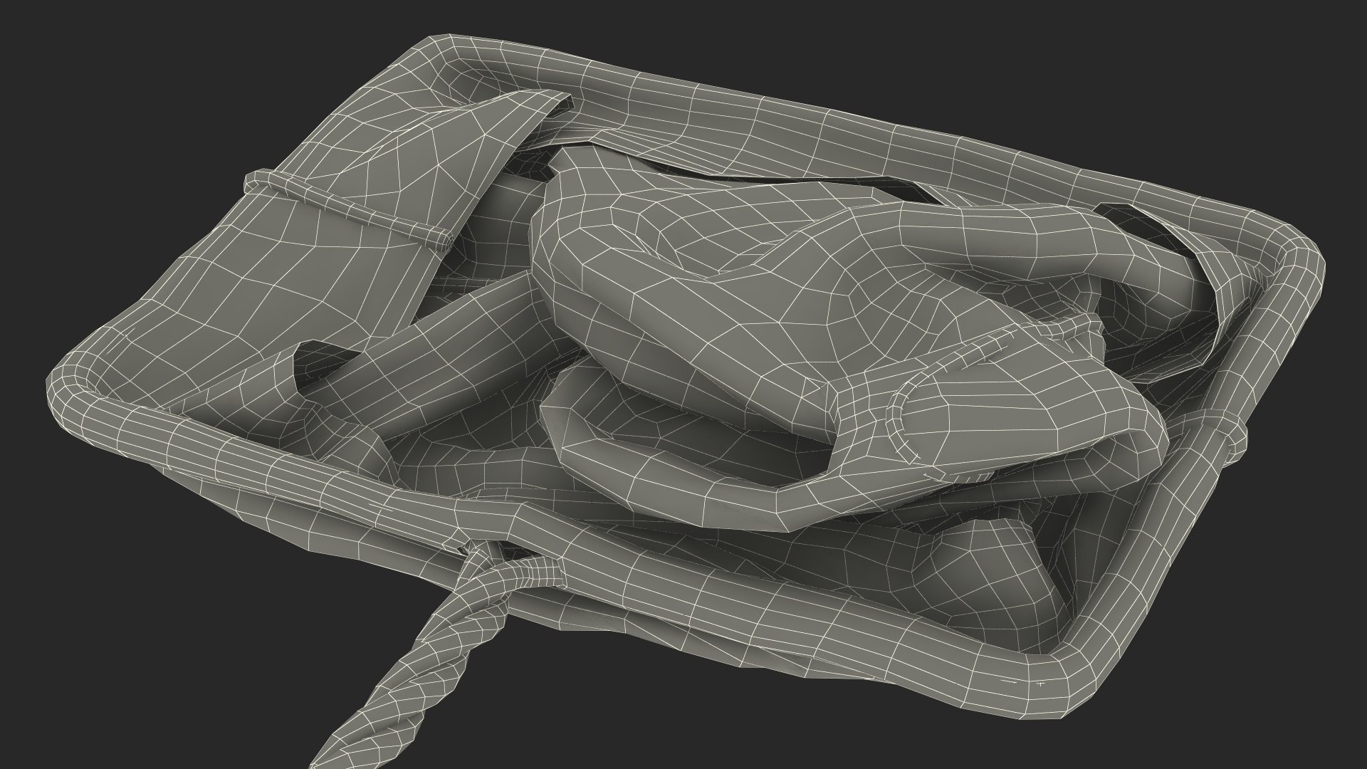 Aquarium Fish Net 3D - TurboSquid 2121423