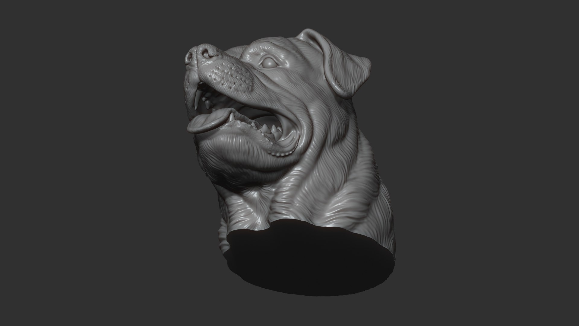 Rottweiler Gloomy Bust Model - TurboSquid 2213772