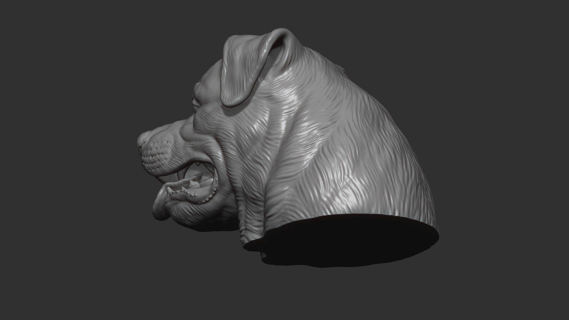 Rottweiler Gloomy Bust Model - TurboSquid 2213772