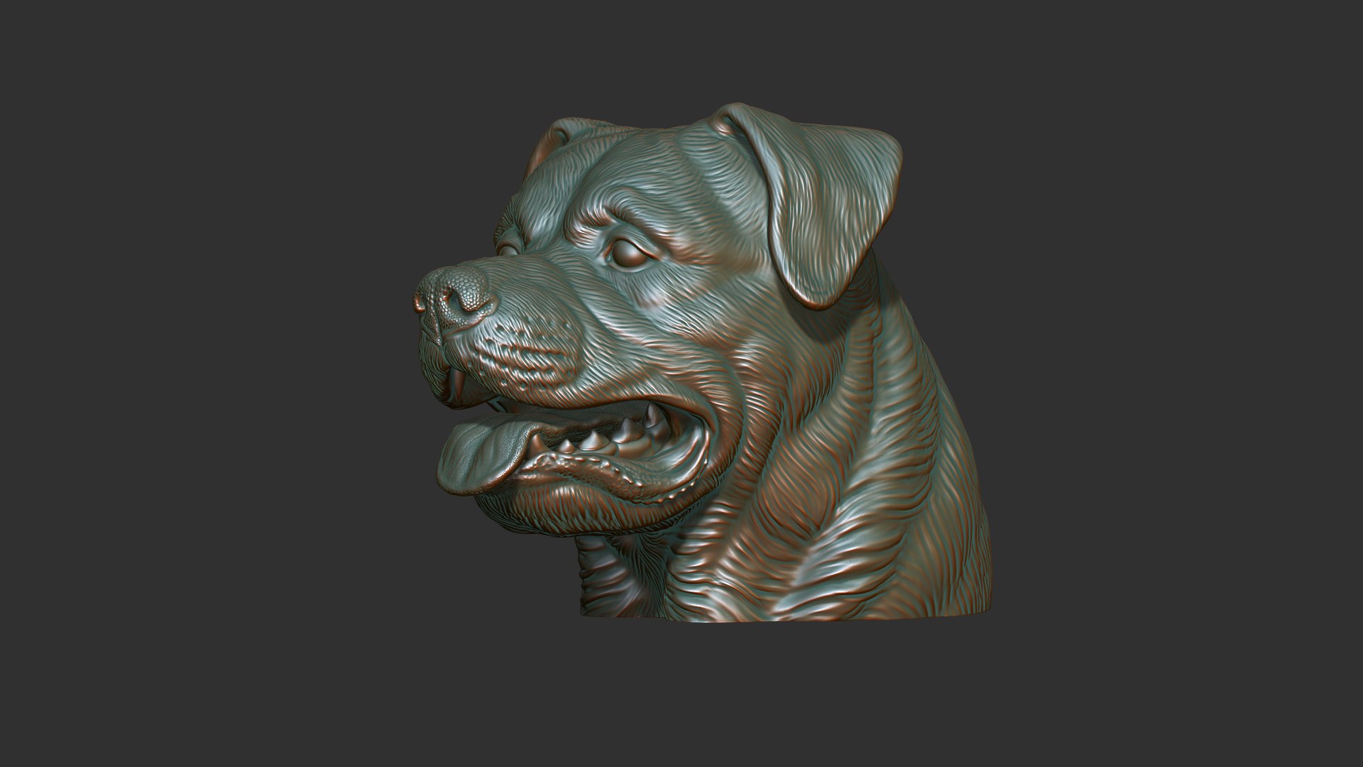 Rottweiler Gloomy Bust Model - TurboSquid 2213772