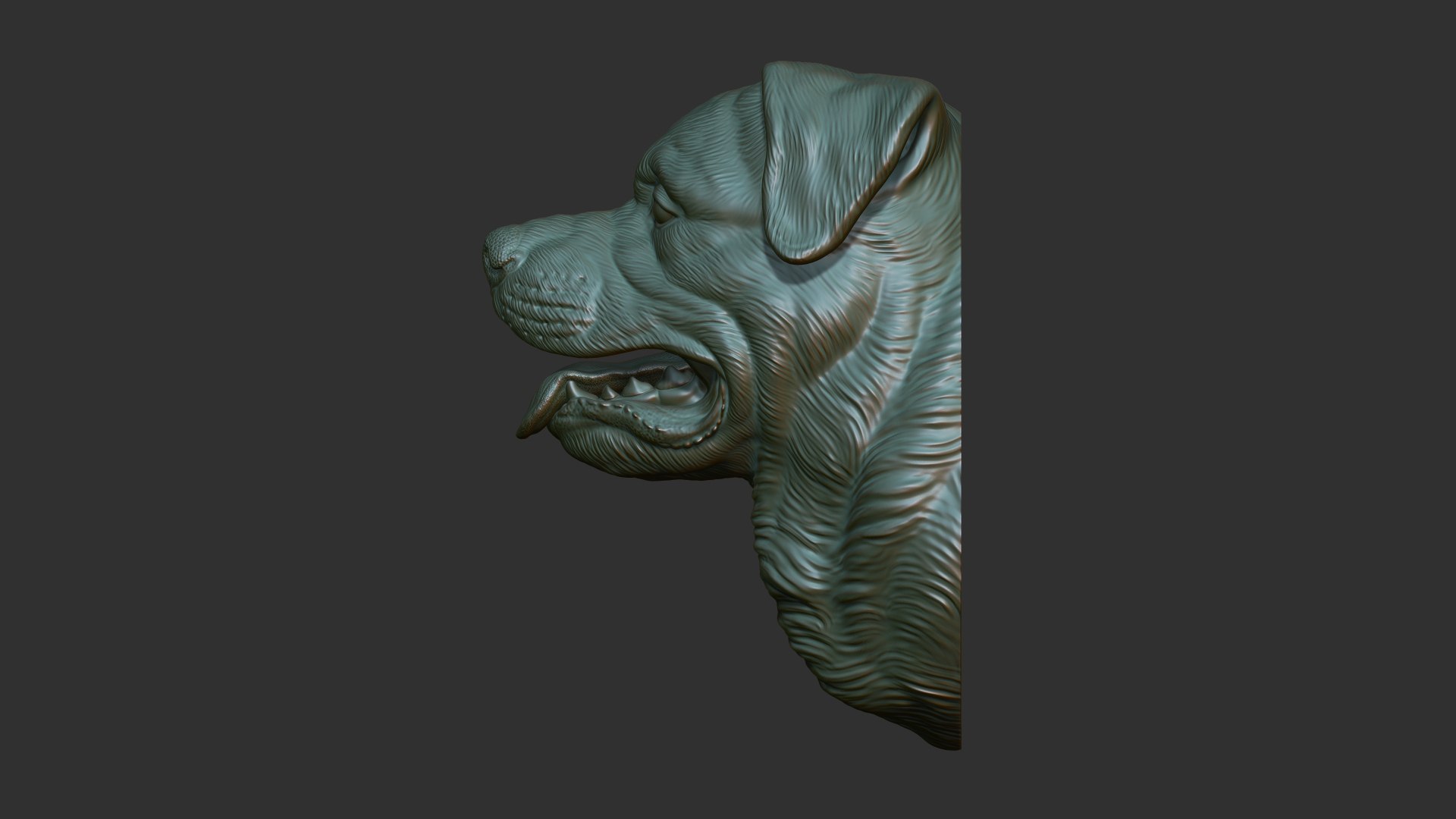 Rottweiler Gloomy Bust Model - TurboSquid 2213772