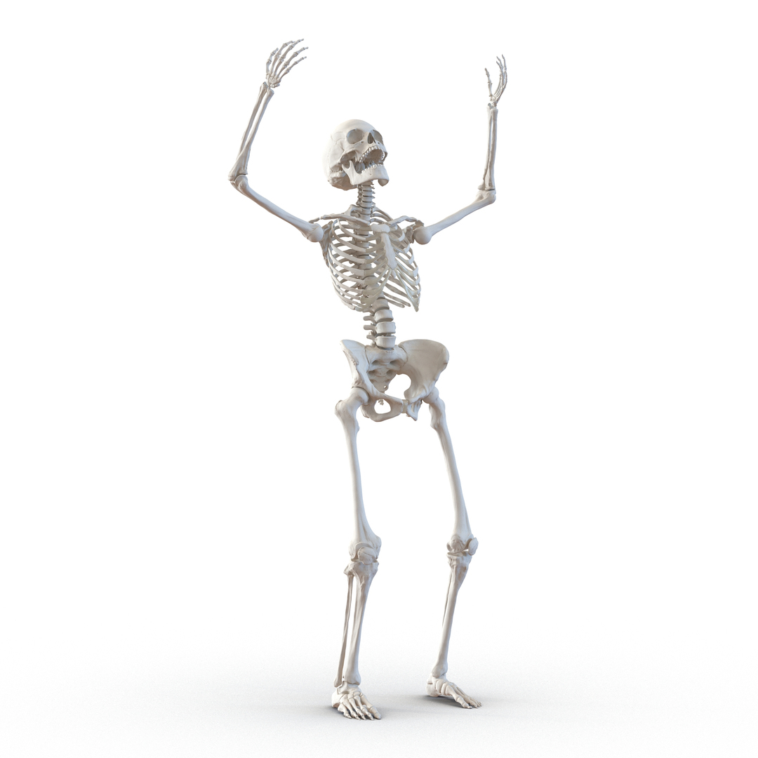 ma human female skeleton rigged